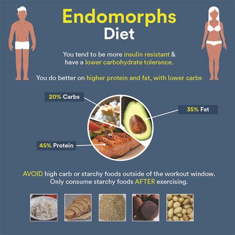 Endomorph Meal Plan Endomorph Diet Plan Metabolic Type Endomorph Foods