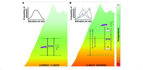 Schematic Representation Of Possible Scenarios Of Species Download Scientific Diagram