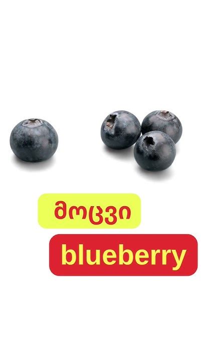 ისწავლე ინგლისური ხილი Fruits Fruit ისწავლე პატარაჟირაფი Youtube