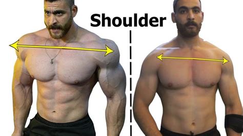 How To Build Shoulder Fast Best Gym Shoulder And Bicep Workout Abs