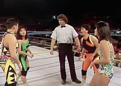 The Wrestling Insomniac Wcws Womens Division