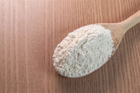 Whey Protein Processing Pmg Engineering