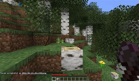 Tree Chop Mod Para Minecraft 1 16 5 Talar Arboles Mejor