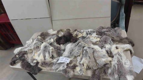 tanned hides rabbit coyote fox mink plus