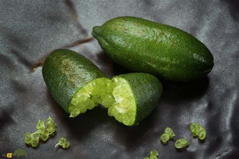 لیموی انگشتی؛ گران‌ترین لیمو ترش جهان که شبیه خاویار است و بافتی مانند مروارید دارد