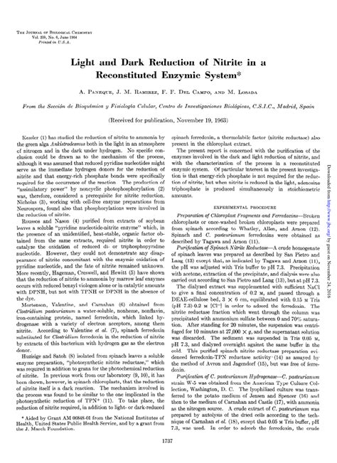 Pdf Light And Dark Reduction Of Nitrite In A Reconstituted Enzymic System