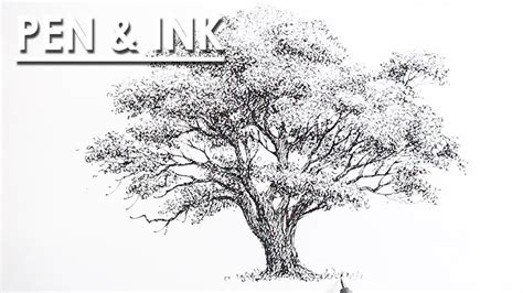 Ink Drawings Of Trees