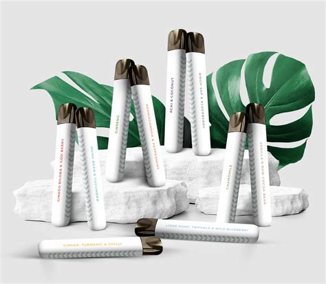 Mini Discovery Bundle Mistr