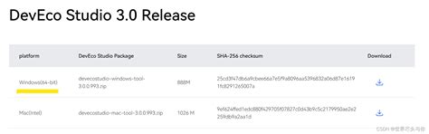 Huawei Deveco Studio安装教程 源码巴士