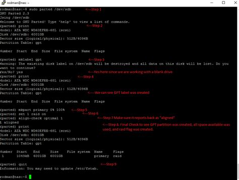 beginning nas steps create raid 1 w mdadm setup lvm and format with