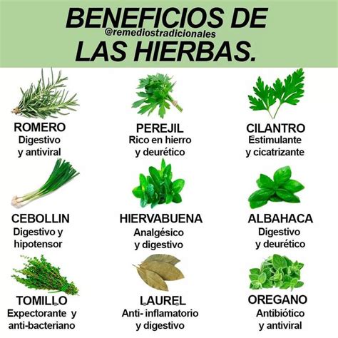Herbal In Spanish Language At Carmella Stokes Blog