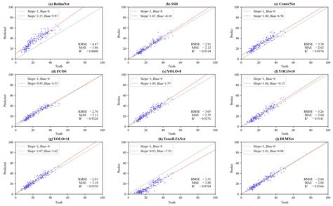 Lightweight Detection And Counting Of Maize Tassels In Uav Rgb Images