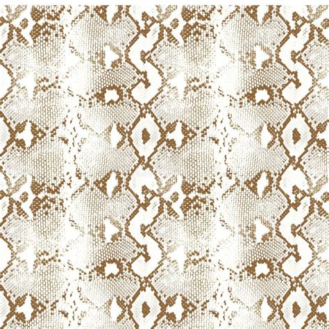Snake Pattern And Animal Patternsnake Metering Pattern On The Ground Stock Illustration Snake Pattern And Animal Patternsnake Metering Pattern On The Ground Stock Illustration