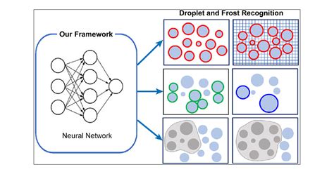 Deep Learning Enabled Comprehensive Evaluation Of Jumping Droplet Condensation And Frosting