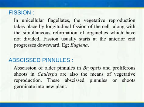 Reproduction Of Algae Vegetative Asexual And Sexual Reproduction Pptx