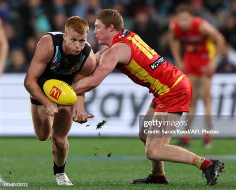 290 Sarah Rowell Photos And High Res Pictures Getty Images