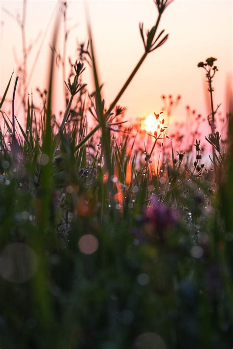 Честит ден на Земята 😊 А ето как е Момичето с изгревите
