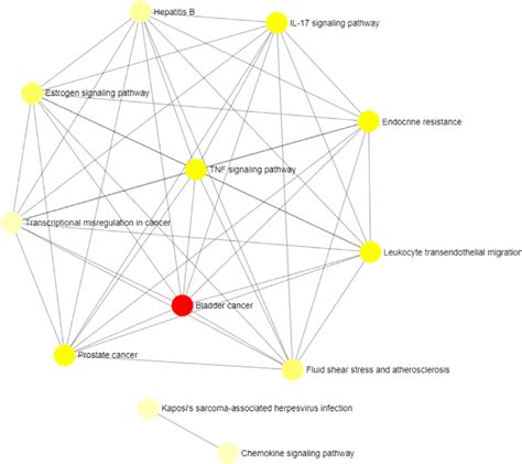 Visualization Of Network Based Pathway Enrichment Analysis The Nodes Download Scientific