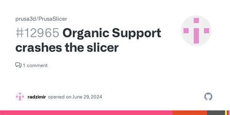 Organic Support Crashes The Slicer · Issue 12965 · Prusa3dprusaslicer · Github