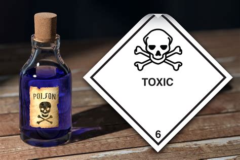 Class 6 Labels Toxic Labels Buy Securely Online