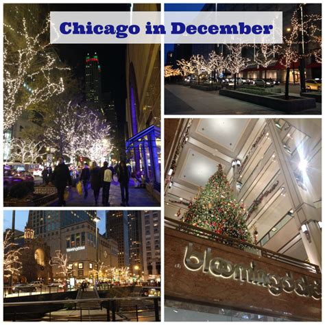 Chicago In December The Ruffled Mango