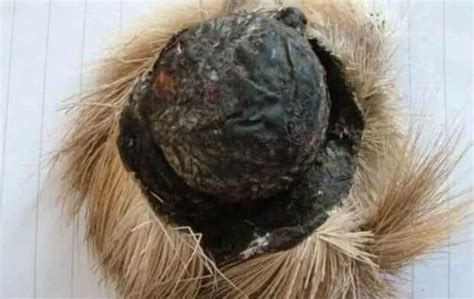 心痛古代青樓女子的避孕方式，但不得不佩服的古人智慧 每日頭條