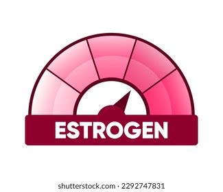 Meter Estrogen Hormone Level Measuring Scale Stock Vector Royalty Free