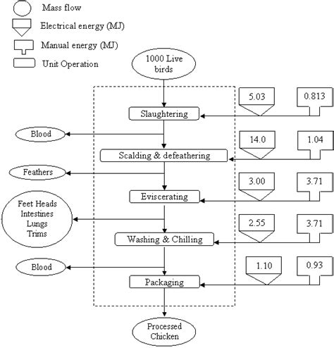Poultry Feed Mill Process Flow Chart A Visual Reference Of Charts