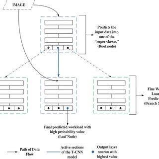 Functional Model Of Tree Hierarchical Deep Convolutional Neural Network