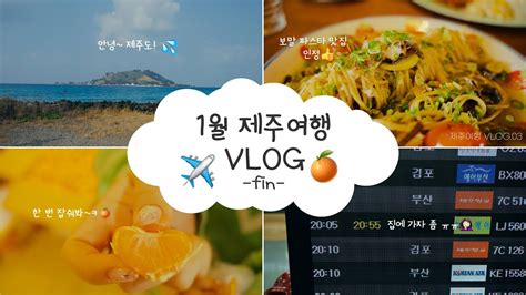 1월 제주도 2박3일 커플 여행vlog 🌴ㅣ안녕 제주 😥ㅣ수선화식당ㅣ한림민속5일시장ㅣ카페·진정성ㅣ무한지연 Feat 인공위성 잔해물 추락 가능성🛰ㅣ집에 언제 가