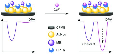 Schematic Representation Of A Carbon Fibre Microelectrode For In Vivo Download Scientific