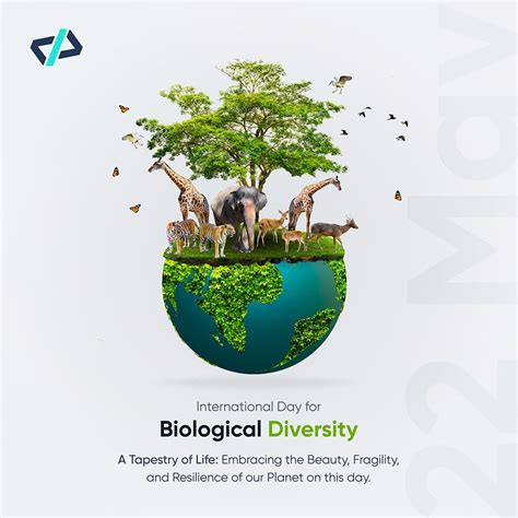 Coding Pixel On Linkedin Biodiversitylove Codingpixel Letsbebetter