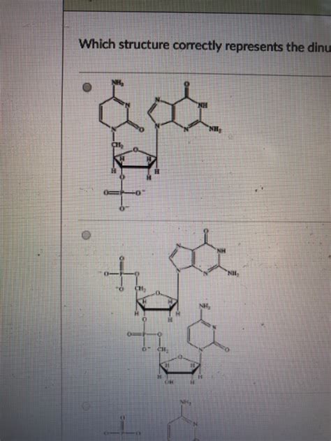 Solved Which Structure Correctly Represents The Dinucleotide