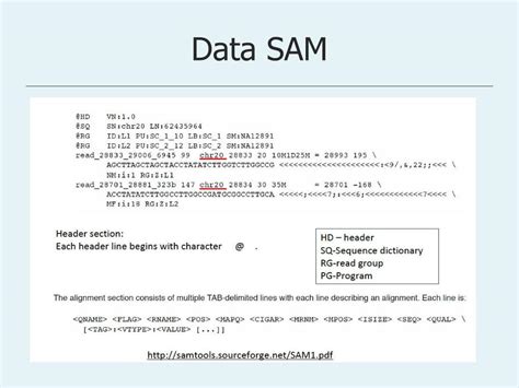 ppt short read mapping on post genomics datasets powerpoint