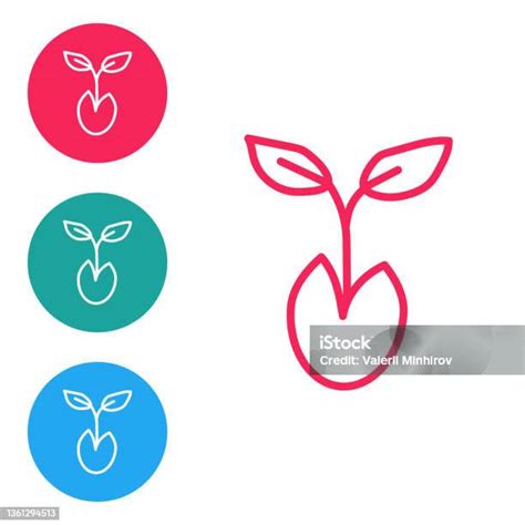 흰색 배경에 격리 된 빨간색 줄 새싹 아이콘 종묘와 묘목 나뭇잎 기호 잎 자연 원 버튼에 아이콘을 설정합니다 벡터 0명에 대한 스톡 벡터 아트 및 기타 이미지 Istock