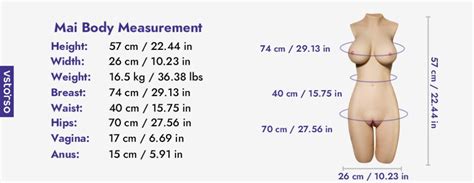 Mai Lb Big Boobs Sex Doll Torso US Stock VSDoll