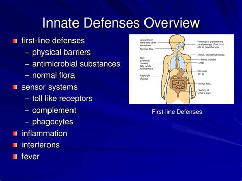 Ppt Innate Immune Response Powerpoint Presentation Free Download