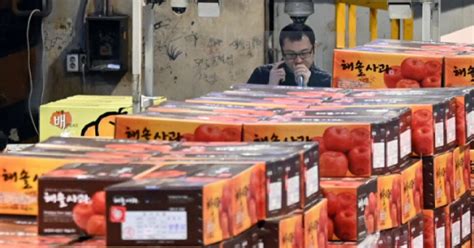 이제 국민 과일은 ‘딸기金사과로 반사이익