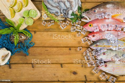 나무 테이블에 얼음 큐브와 열대 어류와 문어의 다양한 클로즈업 해산물 맨 위 보기입니다 0명에 대한 스톡 사진 및 기타 이미지 Istock