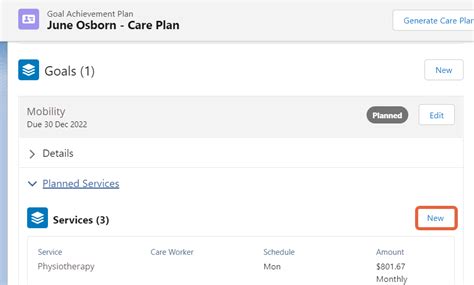 Add A New Agency Or Brokered Planned Service To An Hcp Clients Goal Achievement Plan Lumary