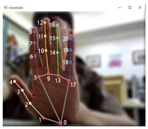 Schematic Diagram Of Mediapipe Hand Node Model Download Scientific Diagram