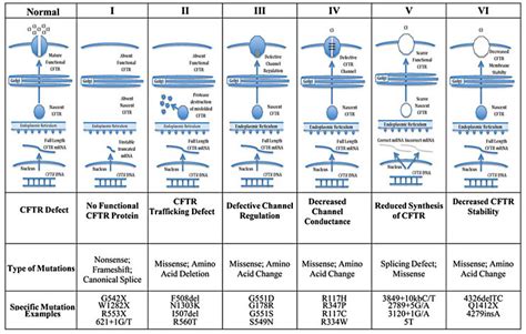 Nonsense Mutation Definition And Examples Biology Online Dictionary
