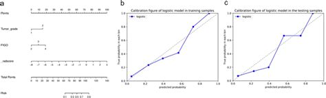 Nomogram And Calibration Curve For The Combined Model A Nomogram For Download Scientific