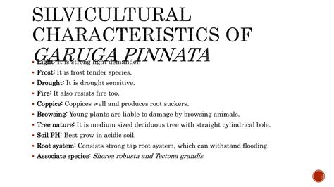 Garuga Pinnata Dabdabe Pptx