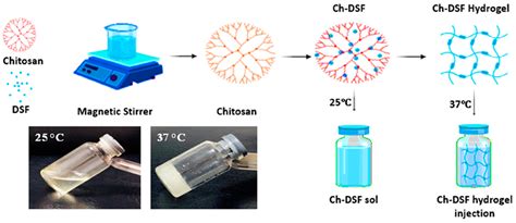 Gels Free Full Text Update On Chitosan Based Hydrogels Preparation