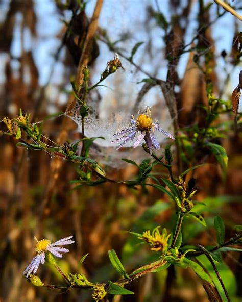 Meredith Kellar On Tumblr