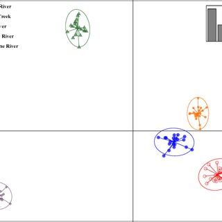 Discriminant Analysis Of Principal Components DAPC Plot Showing The Download Scientific