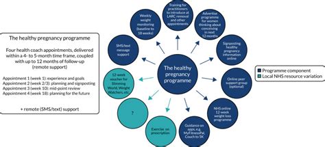 Routine Data Work Package Acceptability And Feasibility Of A Planned Preconception Weight Loss