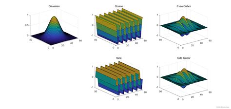 生物特征识别中的gabor滤波器 Csdn博客