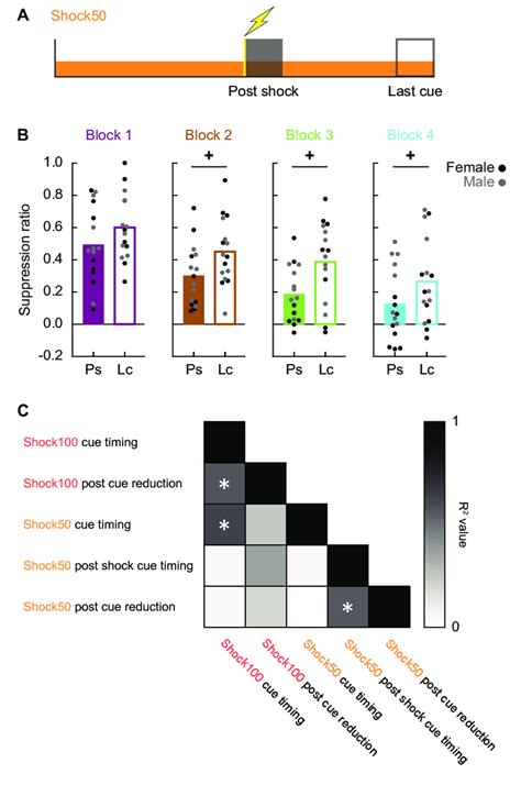 Timing Of Cue Responding Following Shock And Correlated Temporal Download Scientific Diagram
